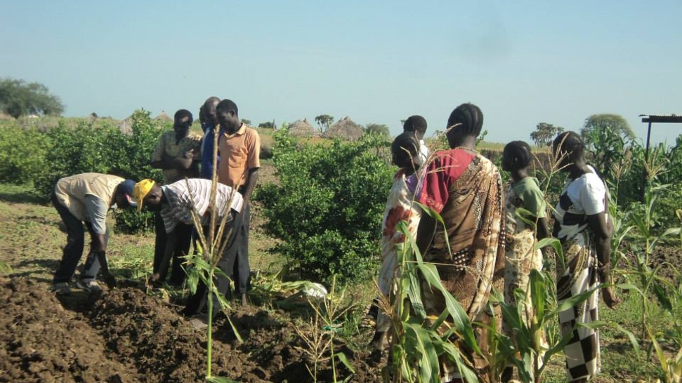 Royal Aid for Development - Tadamon