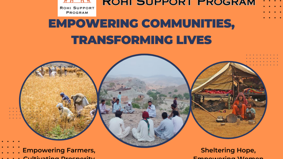 Rohi Support Program - Tadamon