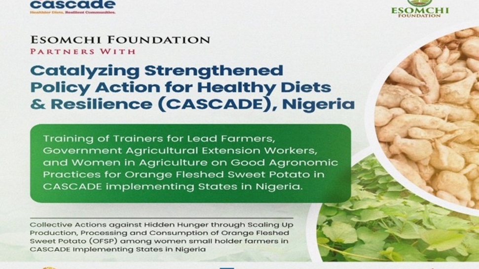 Esomchi Foundation - Tadamon