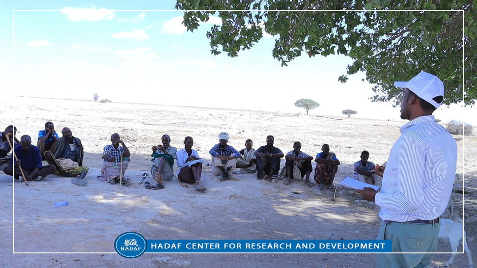 HADAF Center for Research and Development - Tadamon