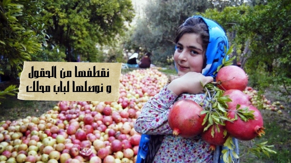Farm Jo Tadamon Farm Jo Tadamon