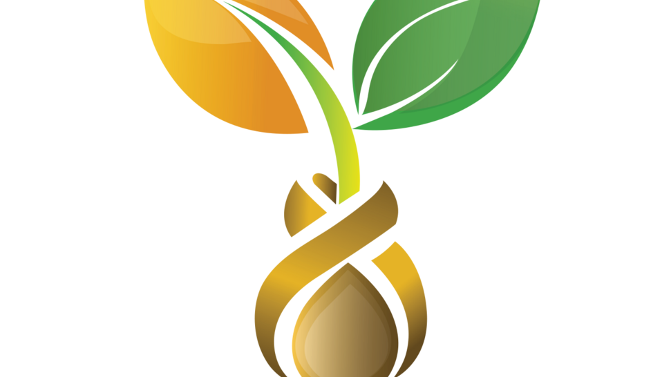 Bedarat Amal Foundation for Community Development - Tadamon